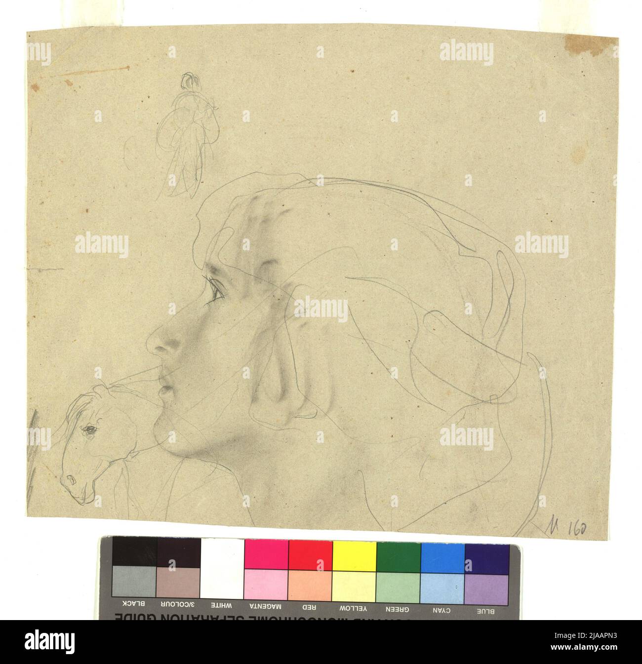 Female head in the profile to the left, horse head in profile, figure ...