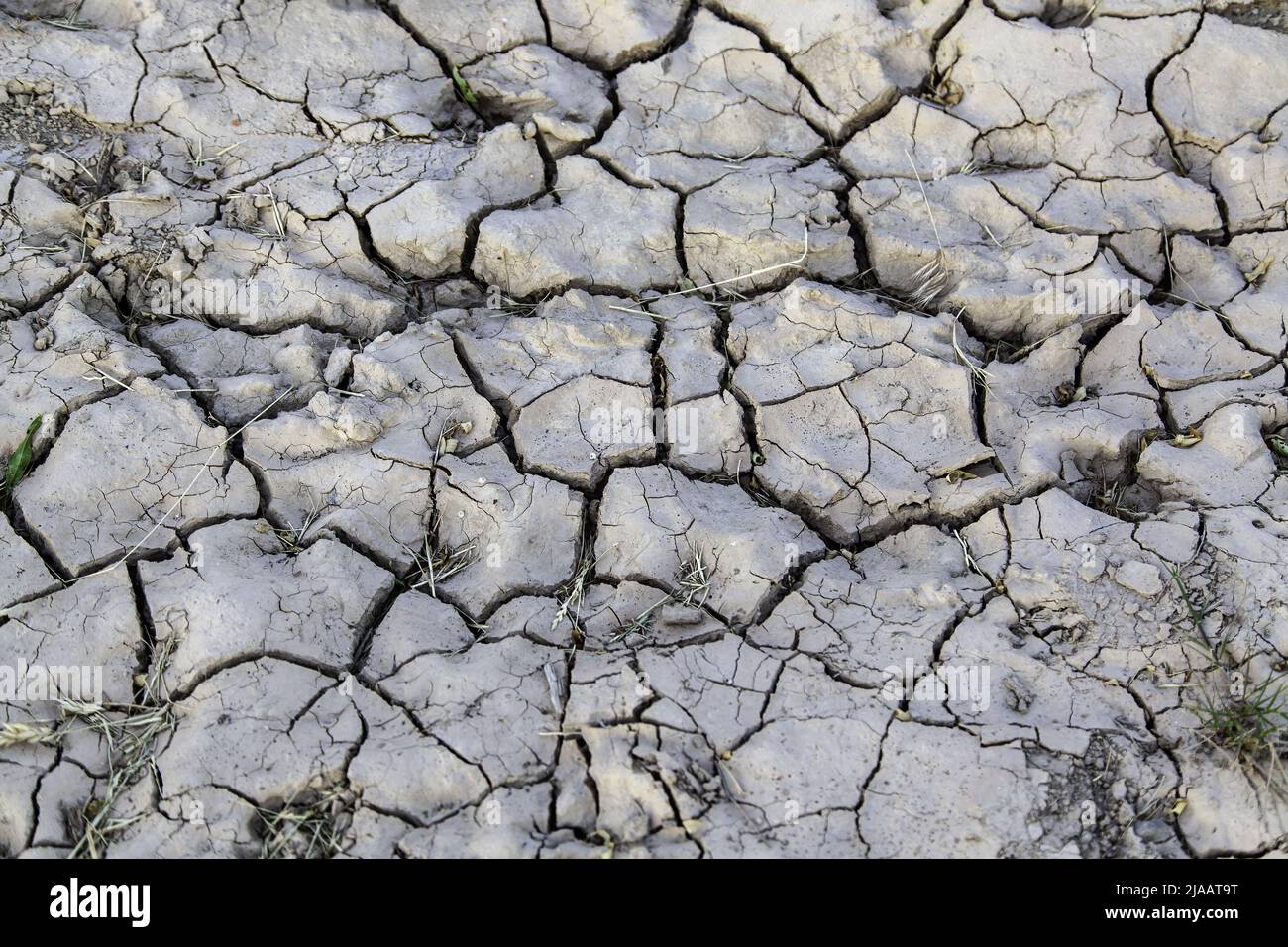 Climate change and environmental destruction detail Stock Photo - Alamy