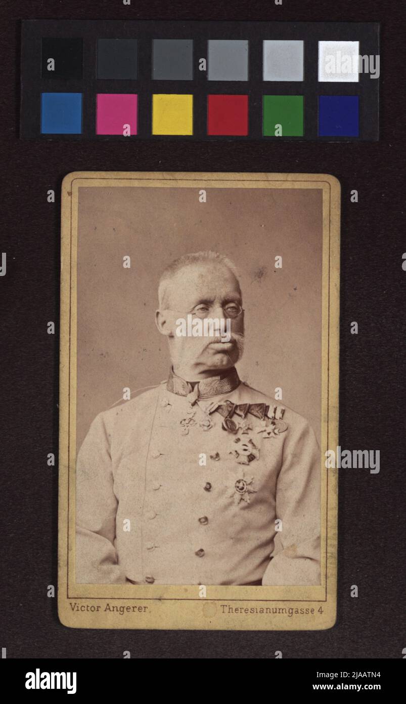 Archduke Albrecht (field marshal). Victor [also: Viktor] Angerer (1839 ...