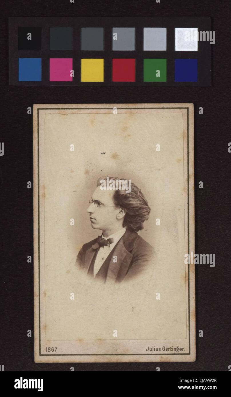 Karl Schuch (1846-1903), painter. Julius Gertinger (1834-1883), photographer Stock Photo - Alamy