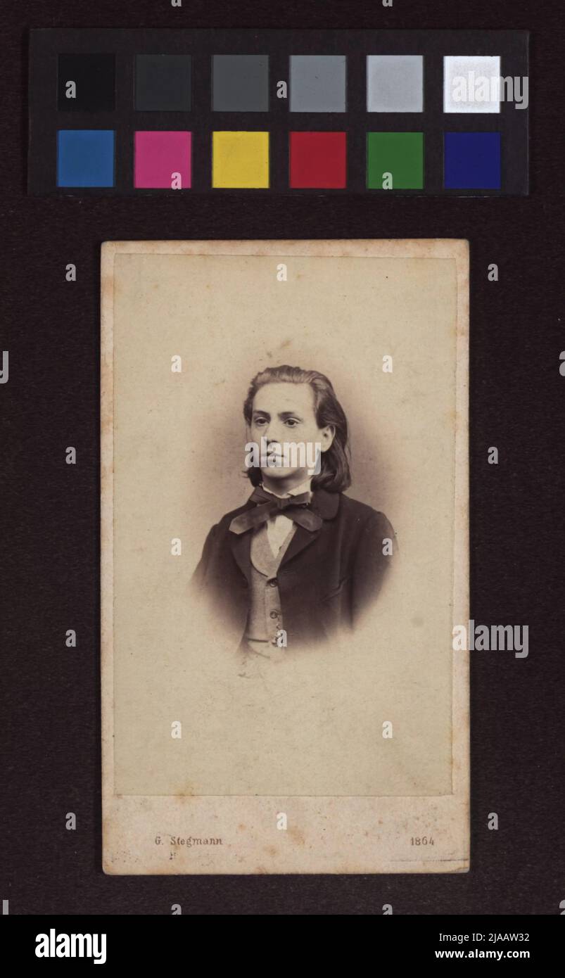 Karl Schuch (1846-1903), painter. Gustav Stegmann, Vienna, Photographer ...
