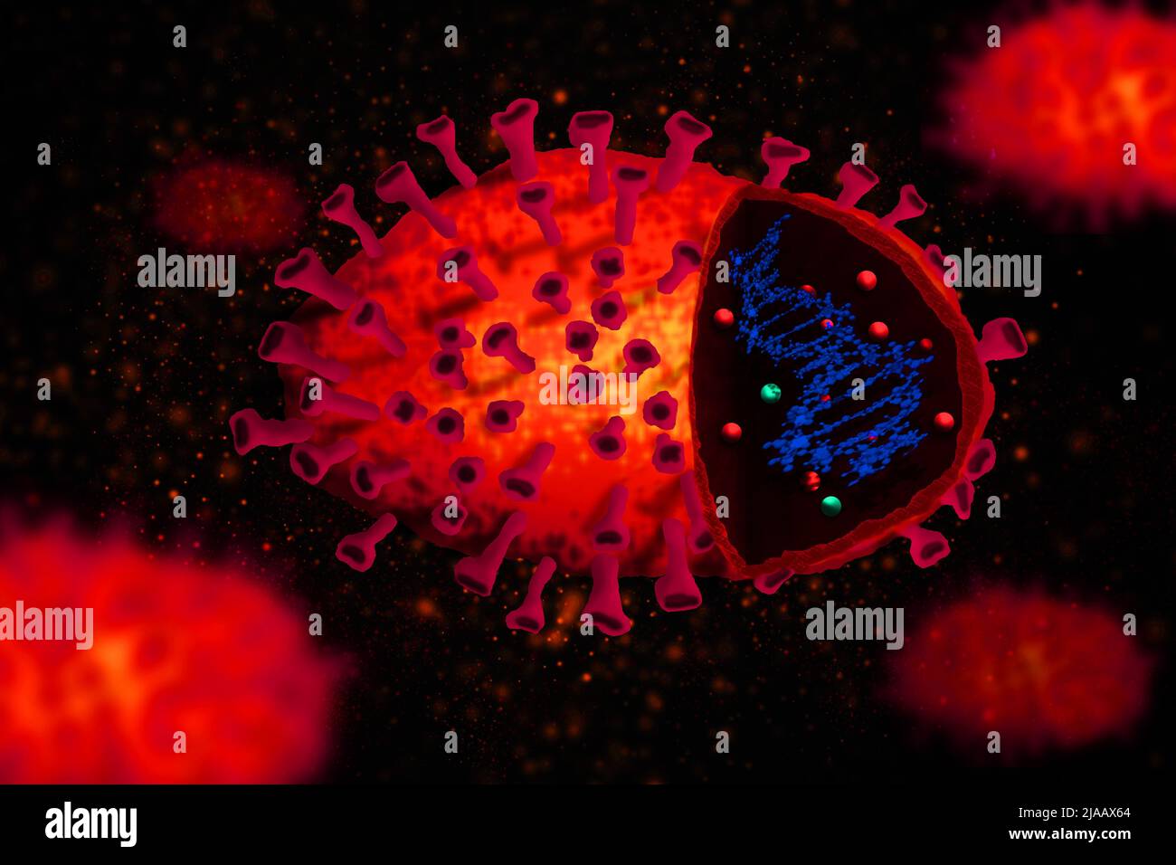 monkeypox virus close up illustration Stock Photo - Alamy