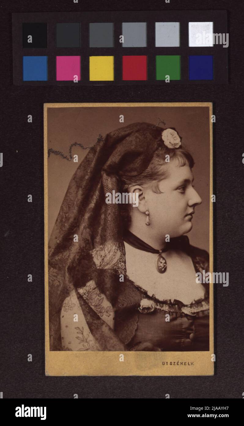 Pielobradek. Josef Székely (1838-1901), Photography Stock Photo - Alamy
