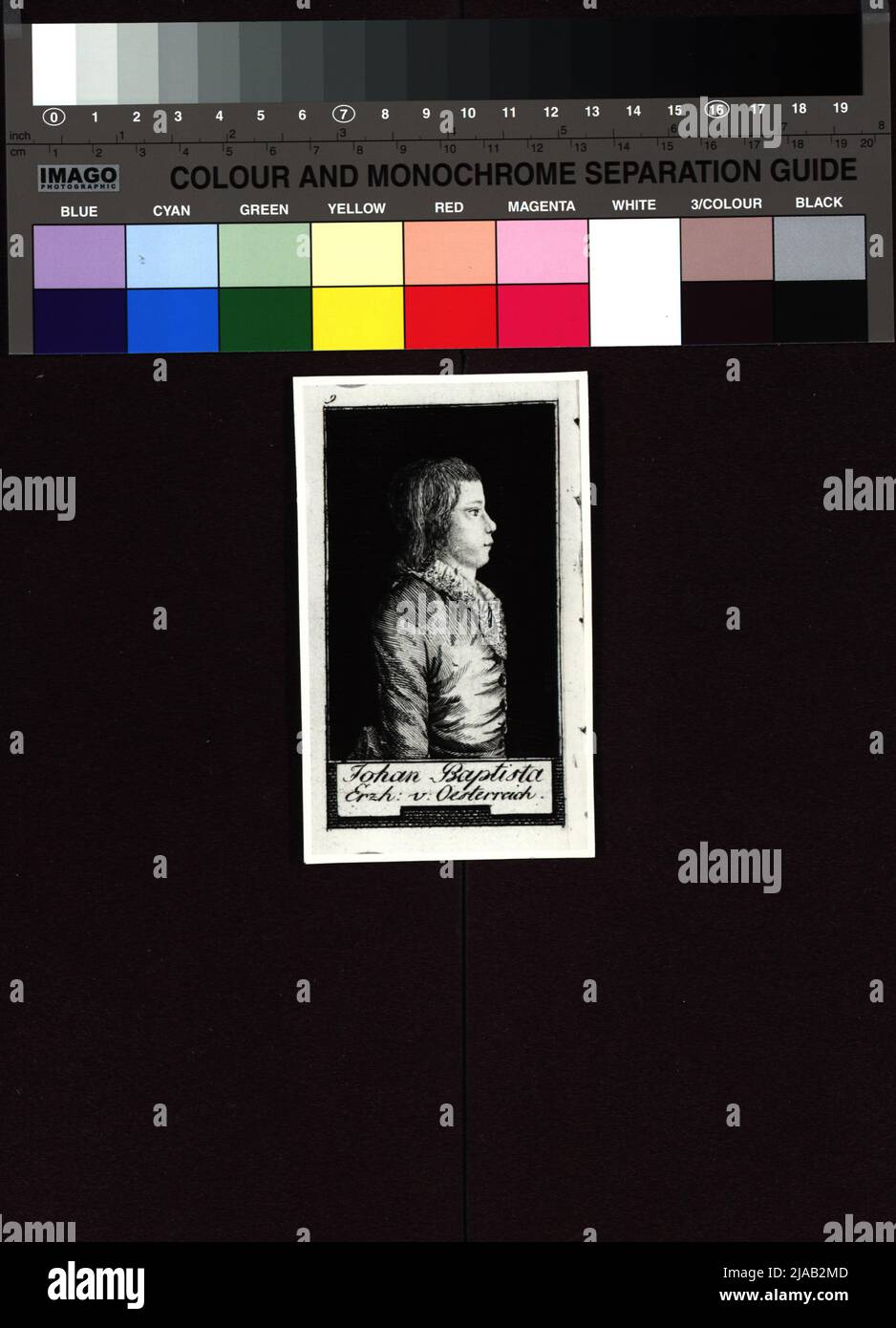 Archduke Johann Baptist of Austria. Johann Hieronymus Delete Kohl (1753 ...