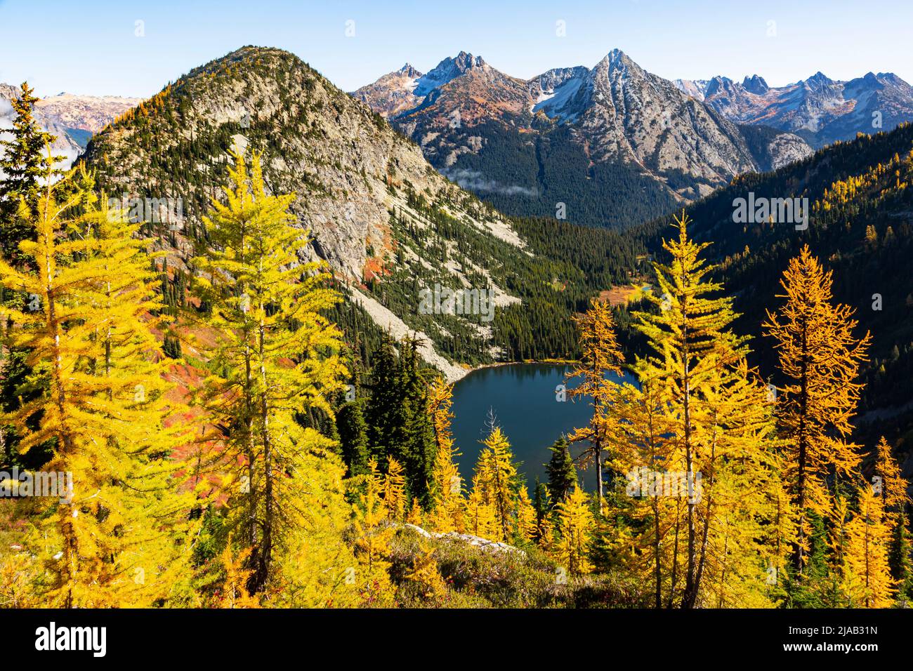 WA21620-00...WASHINGTON - Alpine larch in fall color from the Maple ...