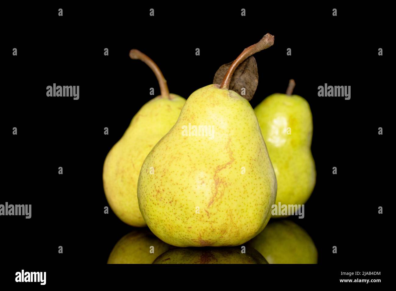 Three isolated pears hi-res stock photography and images - Alamy
