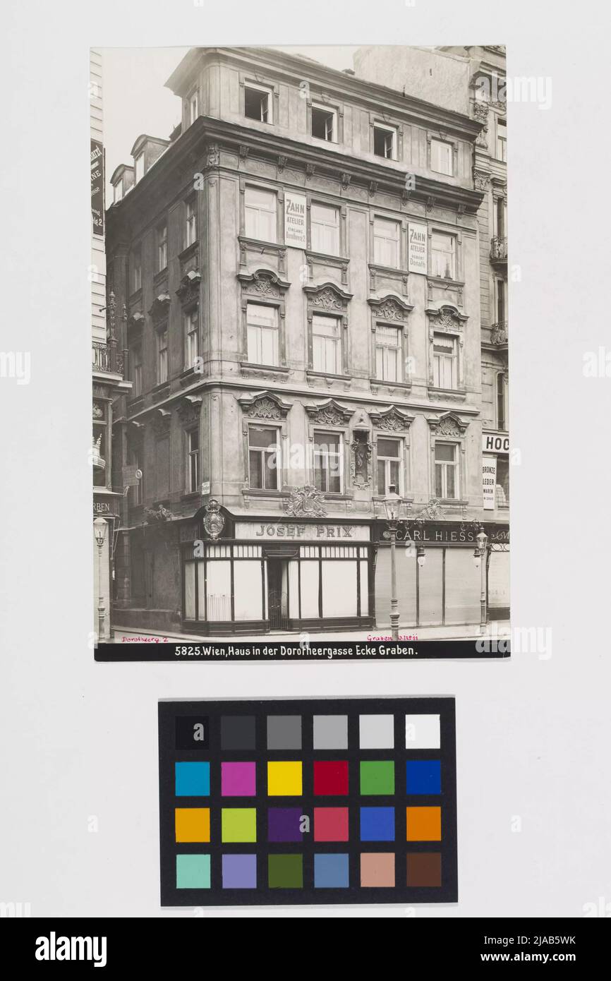 1., Grabs 11 - Bartolotti-Pawn field-Palace - total contempt. Bruno ...