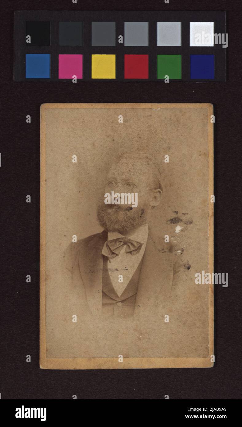 Ludwig Anzengruber, poet. Julius Gertinger (1834-1883), photographer ...