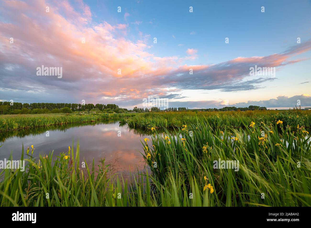 Colorful sunset clouds over a wetland near Gouda, Netherlands Stock ...