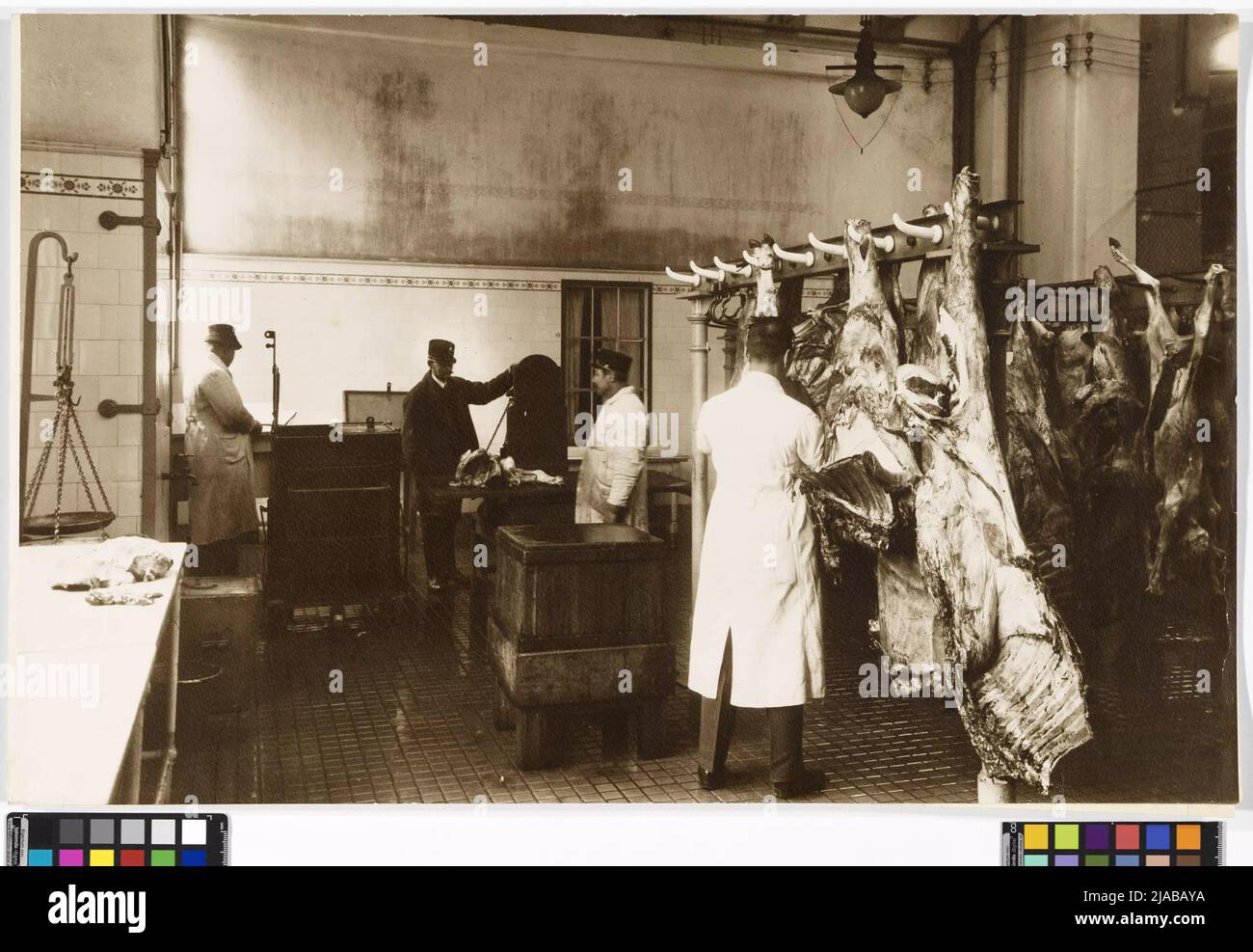 3rd, St. Marx, slaughterhouse - wholesale market hall - examination ...