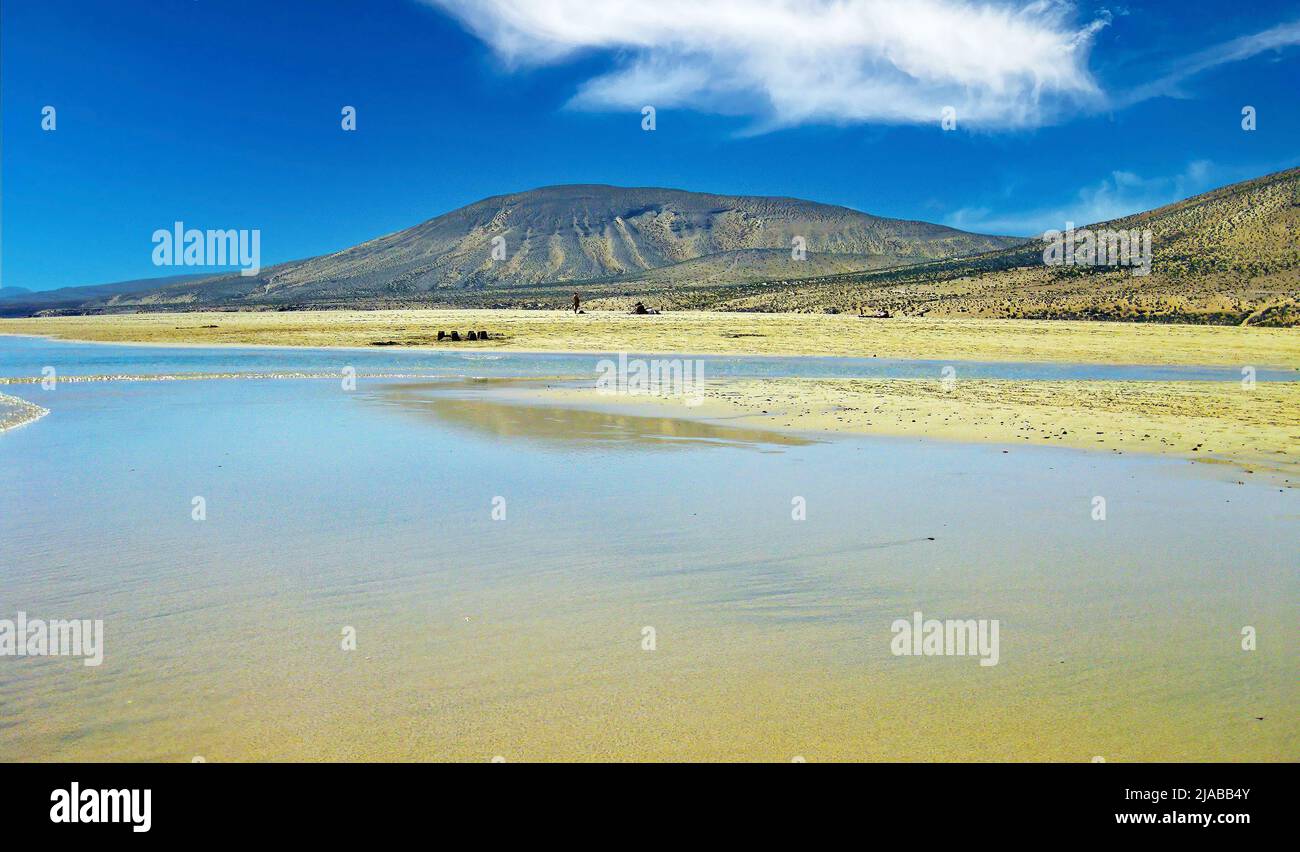 Beautiful low tide coastal landscape, sand beach, lonely sandbanks ...