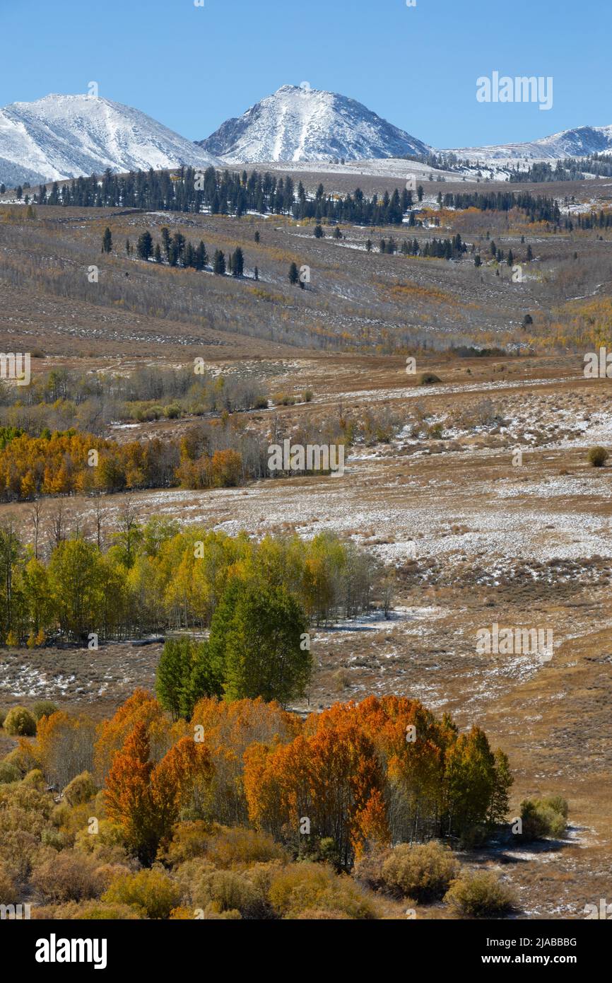 Autumn colors in the Sierra Nevada mountains Stock Photo - Alamy