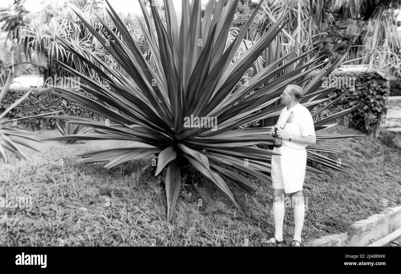 A man standing next to a large aloe vera plant in the Aburi Gardens in ...