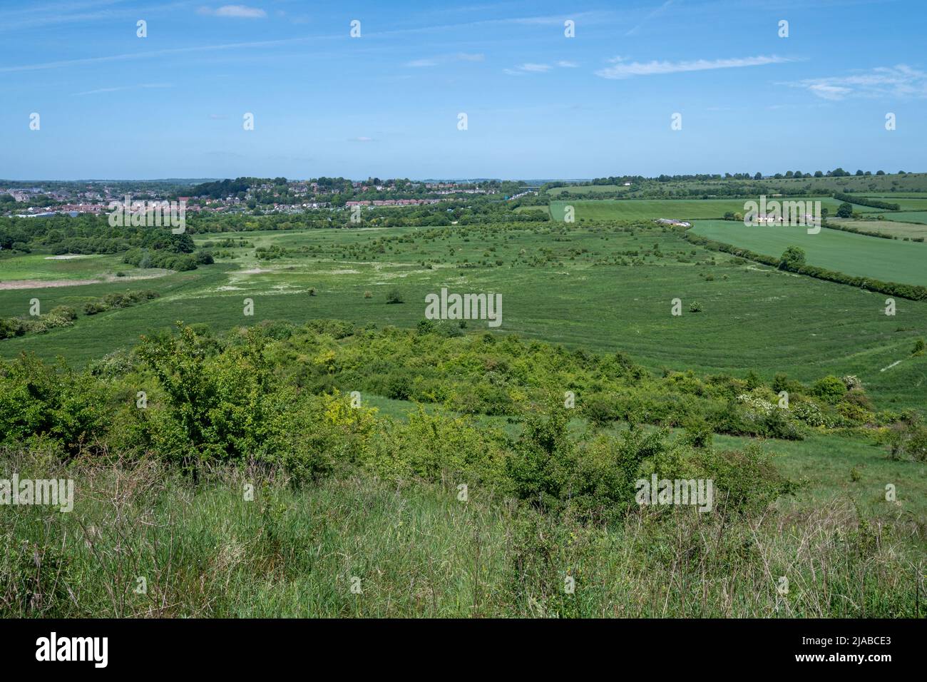 Deacon Hill Nature Reserve with scrub and chalk grassland during May ...