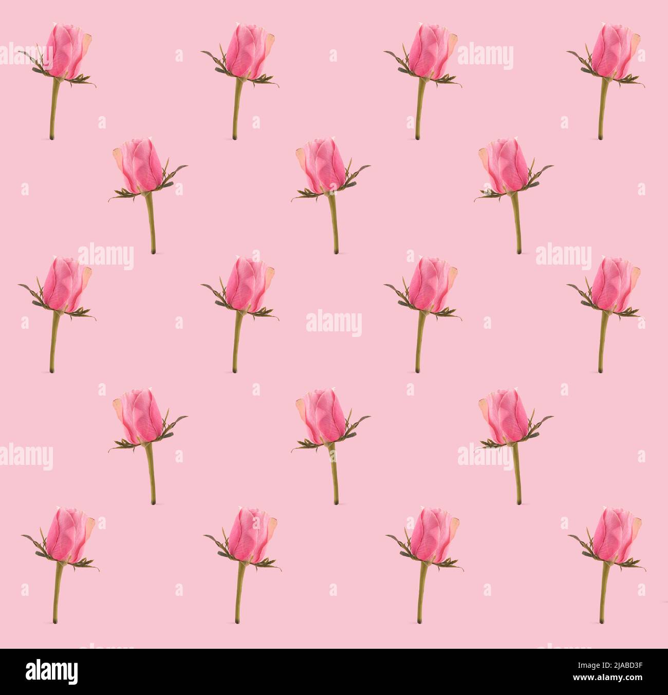 Minimal seamless floral pattern hi-res stock photography and images - Alamy