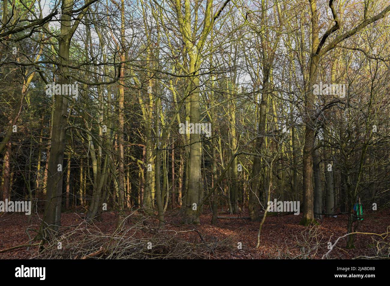 Twiglets hi-res stock photography and images - Alamy