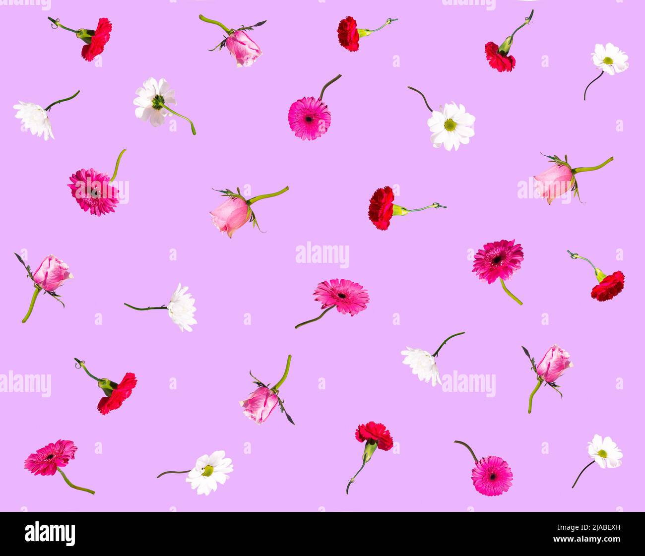 March background hi-res stock photography and images - Alamy