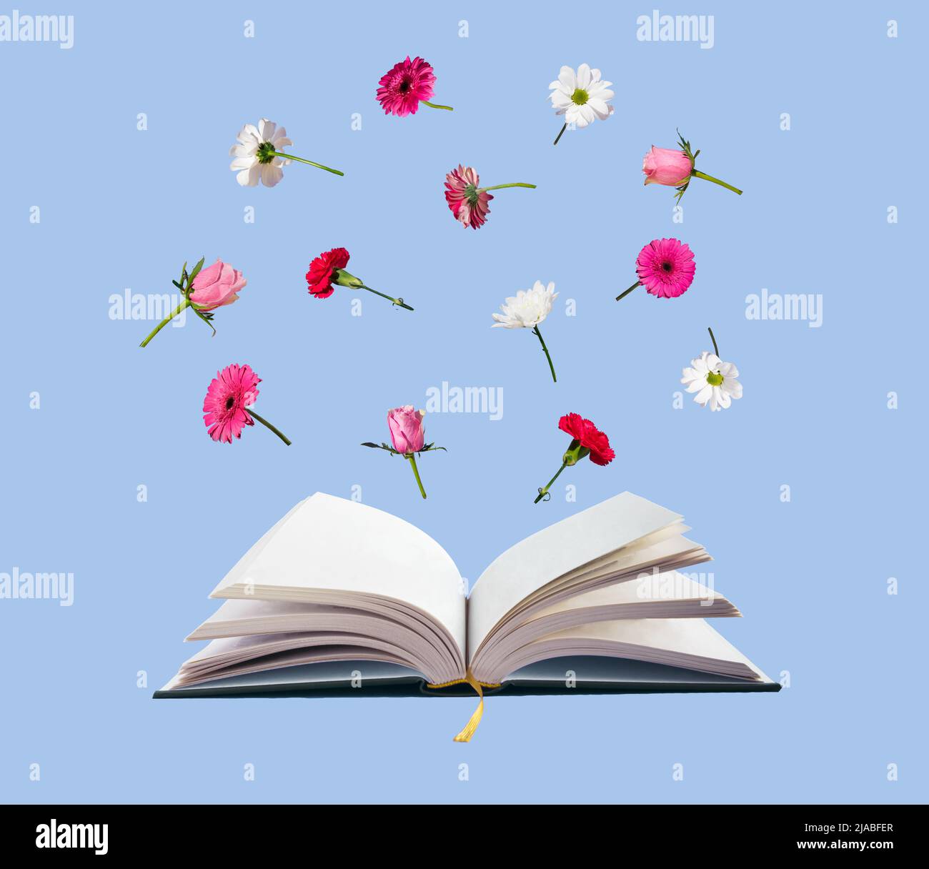 Various fresh spring flowers that comes out of the book, against pastel ...