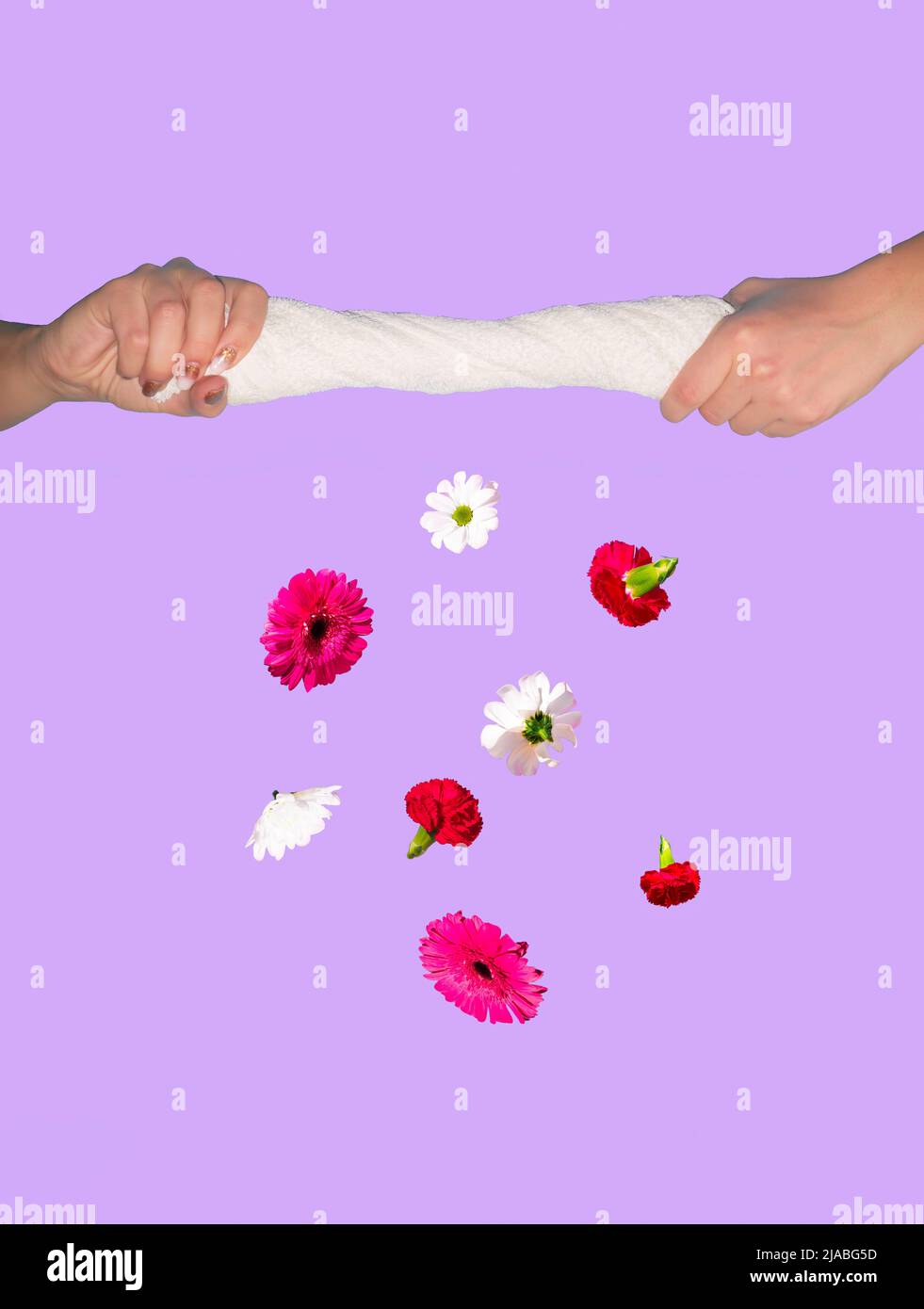 Squeeze towel hi-res stock photography and images - Alamy