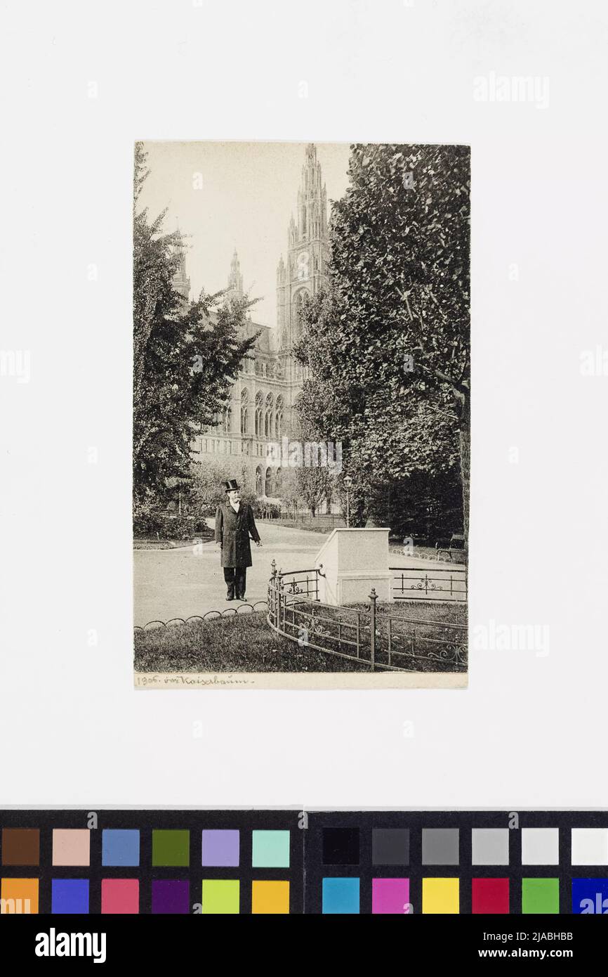 1st, Rathauspark - View from the Südpark against the town hall - Karl ...