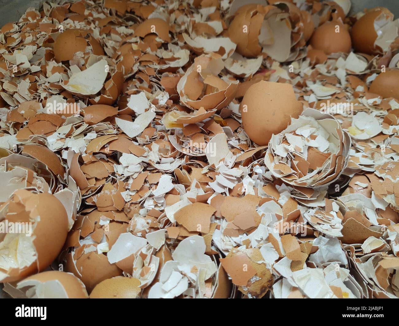 Taiwanese man portrait hi-res stock photography and images - Alamy