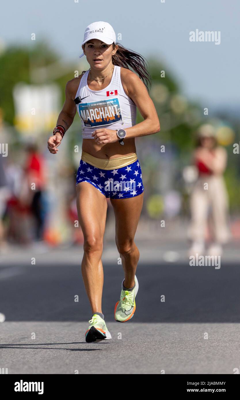 Lanni marchant hi-res stock photography and images - Alamy