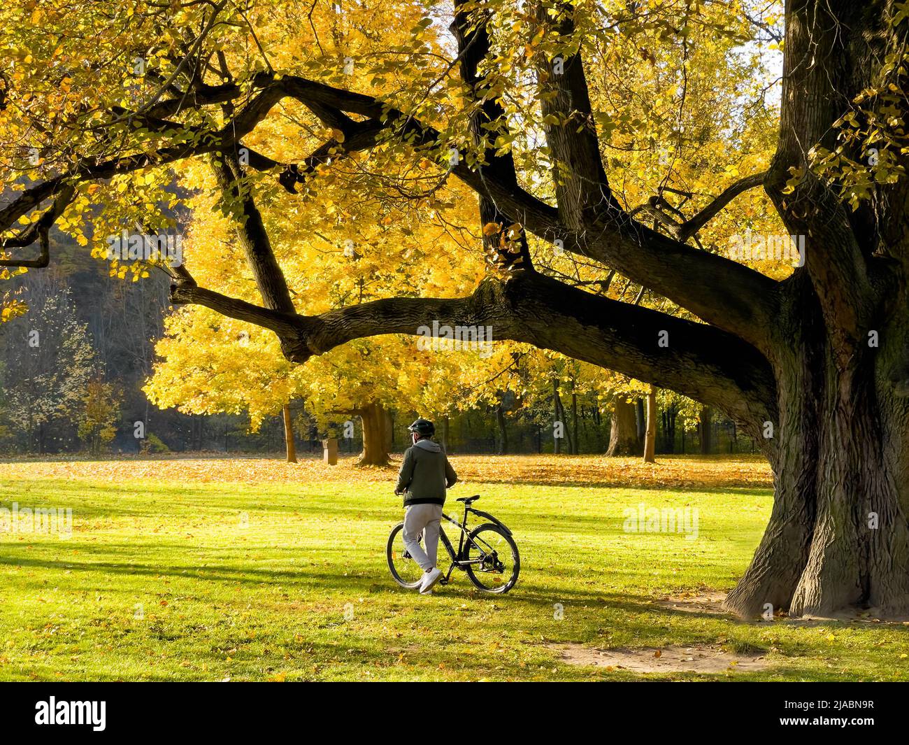 Children standing under a tree hi-res stock photography and images - Alamy