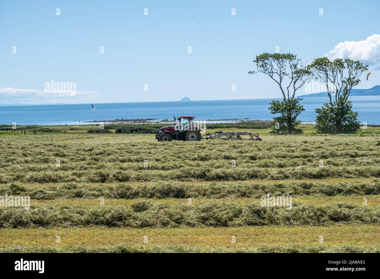 Portencross, Scotland, UK. 29th May 2022. UK Weather: A farmer and a ...