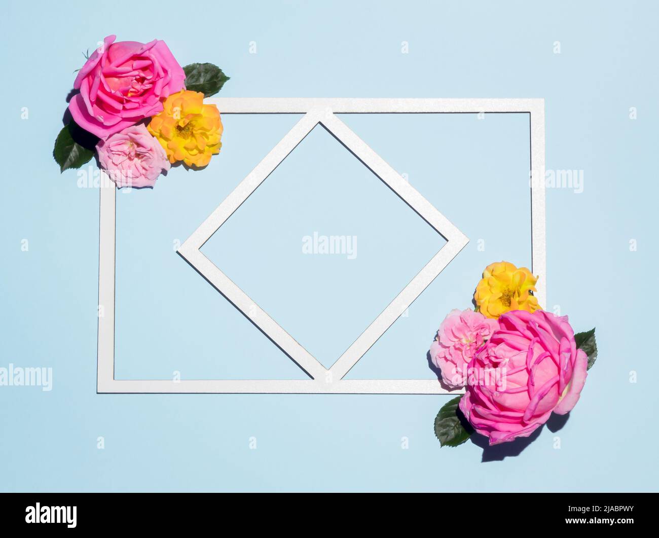 Frame with copy space made of colorful rose flowers and leaves on sky ...