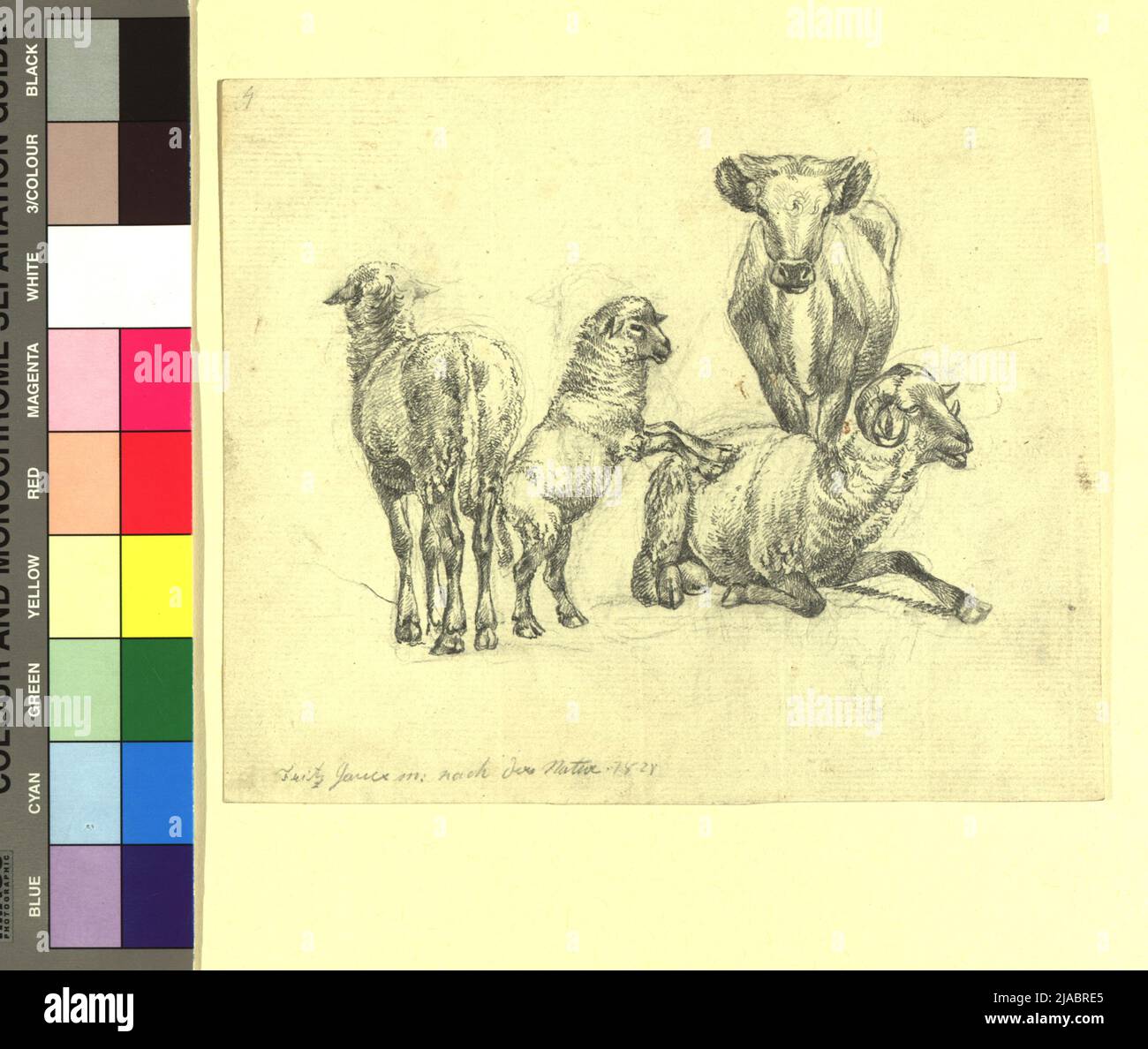 A ram, two sheep and a cow. Friedrich August Matthias Gauermann (1807 ...
