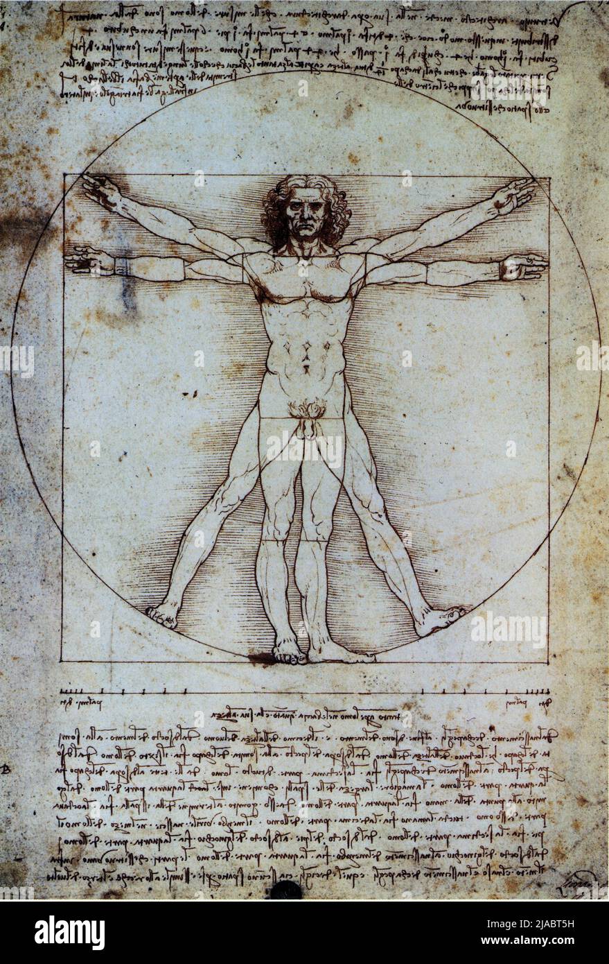 Human proportions hi-res stock photography and images - Alamy