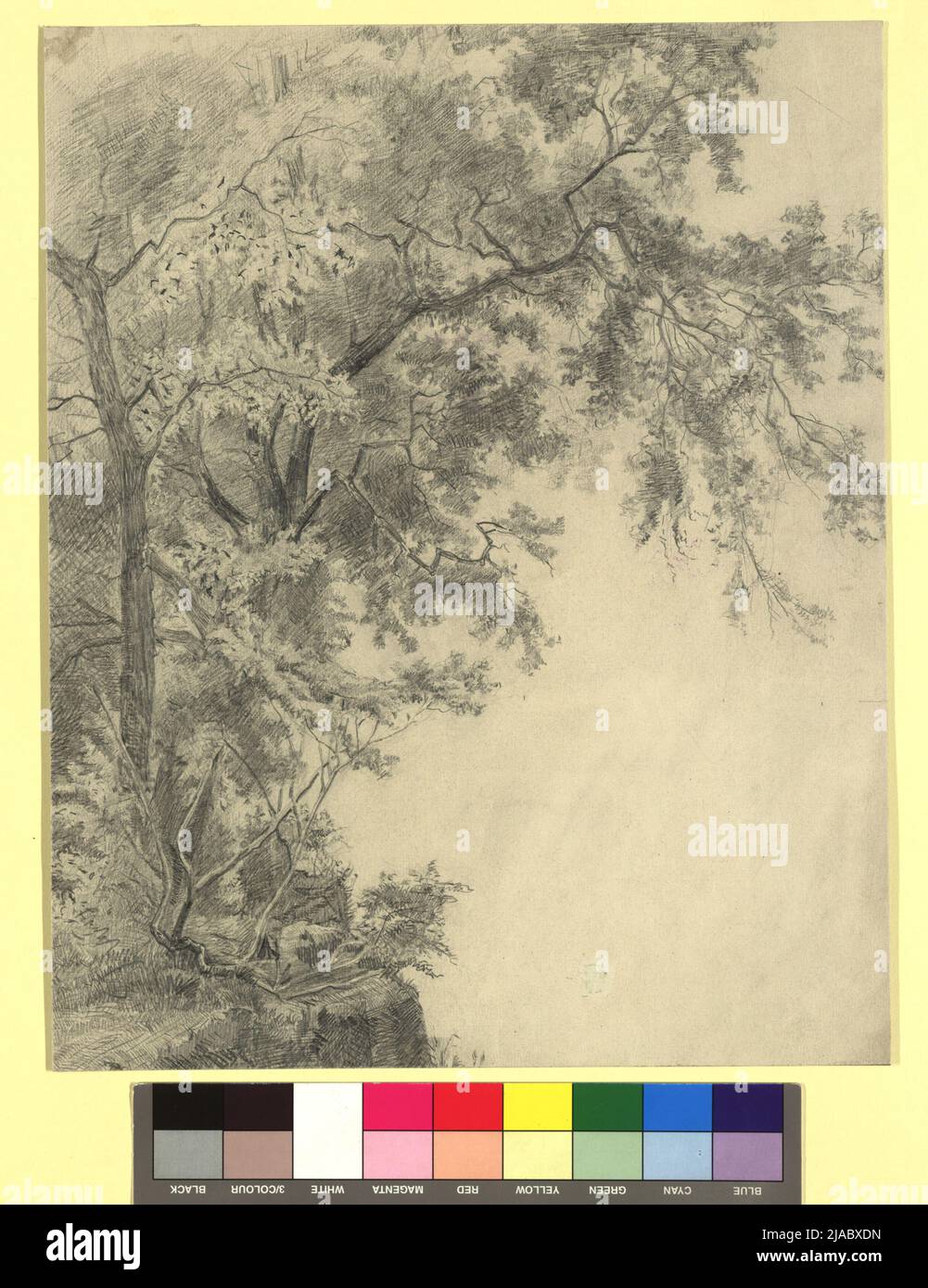 Trauman on a steep slope. Tina Blau (1845-1916), artist Stock Photo - Alamy