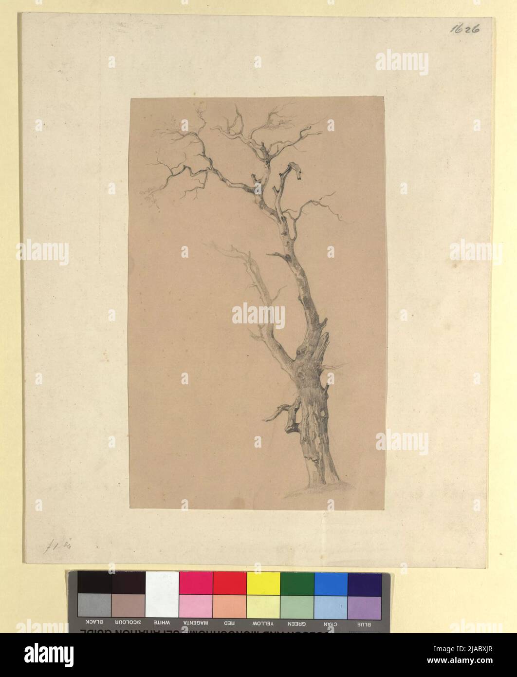 Baum hand hi-res stock photography and images - Alamy
