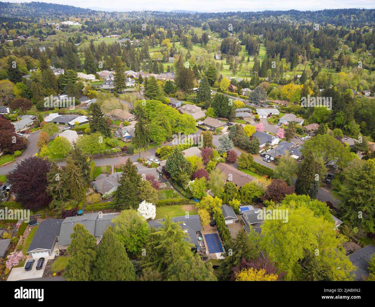Aerial view of a small green town near a mountain range. Design ...