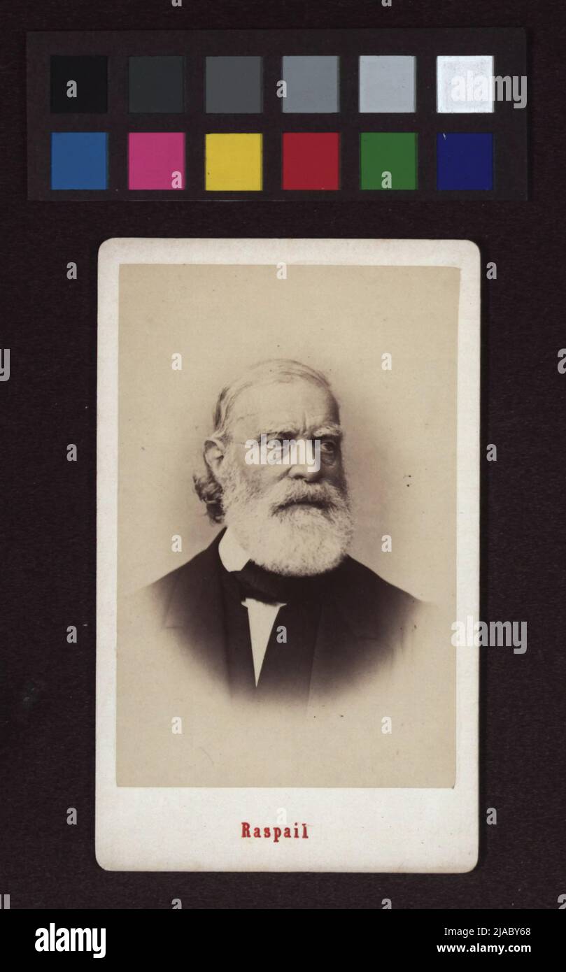 Francois Vincent Raspail (1794-1878), Chemiker, Botaniker, Politiker ...