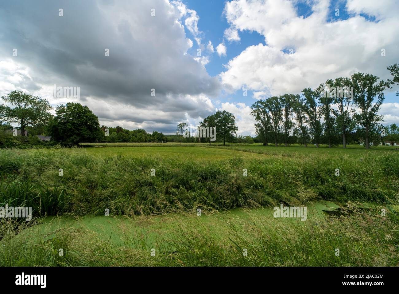Green fields surrounding Thorn, The Netherlands Stock Photo - Alamy
