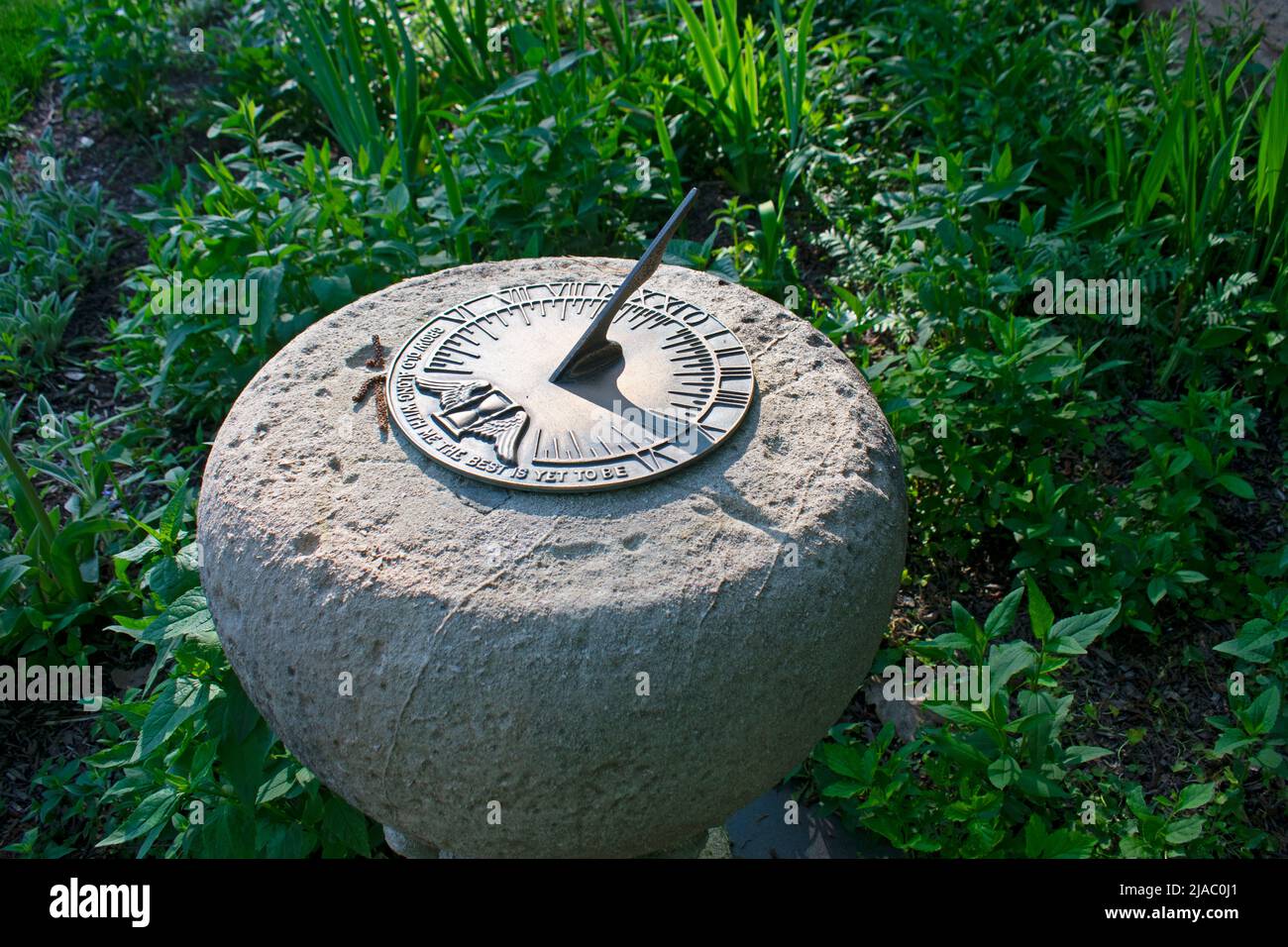 Metallic sundial set in stone on a bed of various green plants and ...