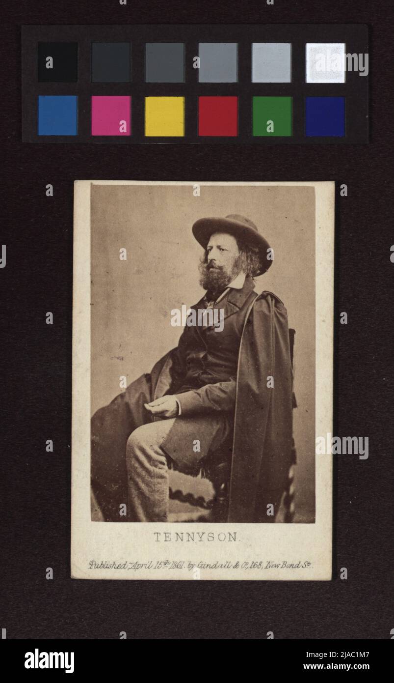 Alfred Lord Tennyson (1809-1892), writer. Unknown, photographer Stock Photo - Alamy