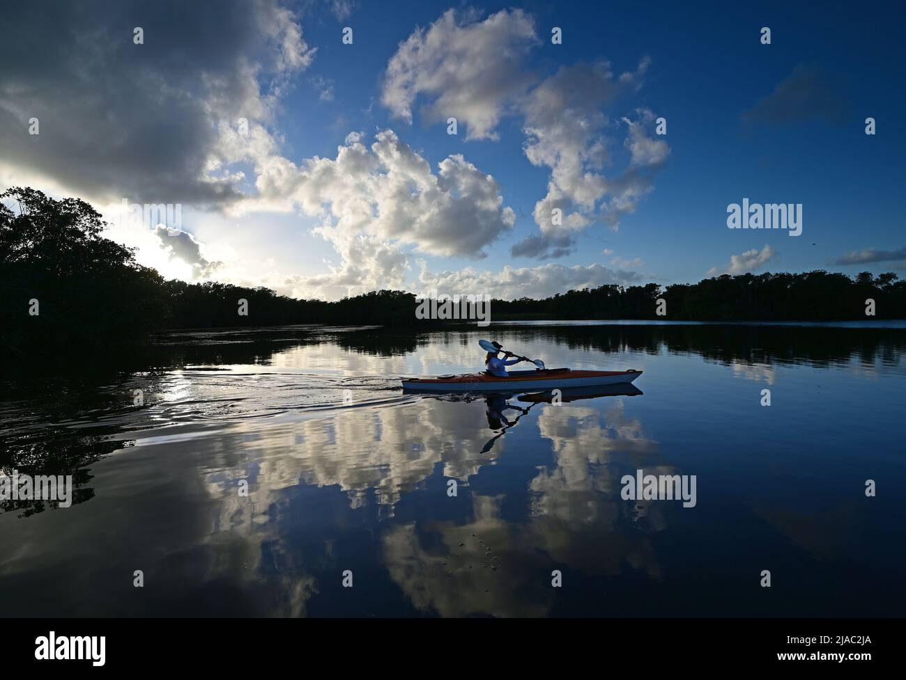 Woman kayaking on Paurotis Pond in Everglades National Park, Florida on ...