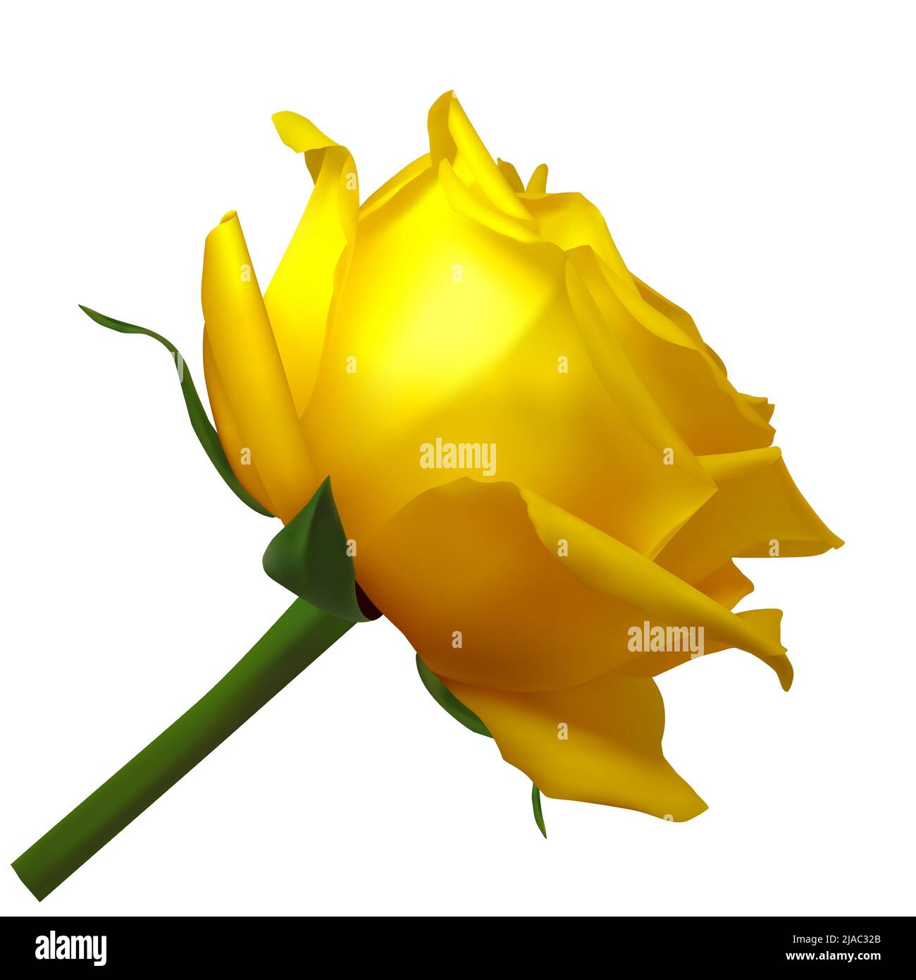 Realistic vector yellow rose on white background Stock Vector Image ...