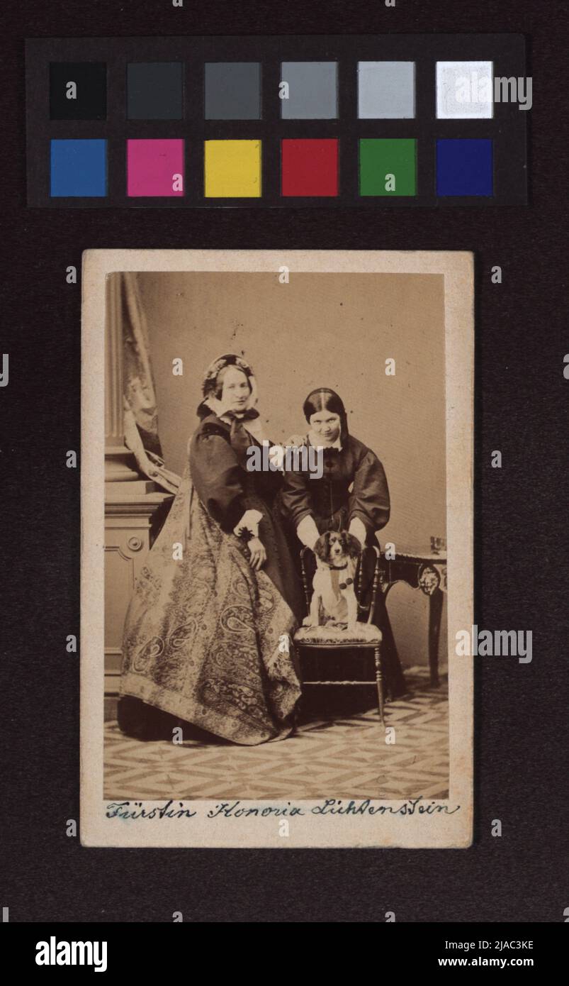 Princess Honoria Liechtenstein with accompaniment and dog. Ludwig ...