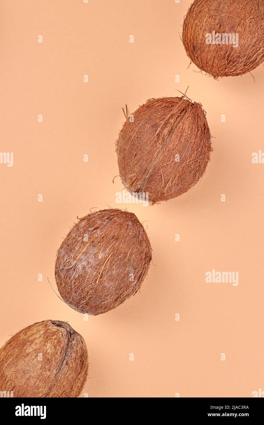 Four whole brown tropical coconuts on color background. Top view of ...