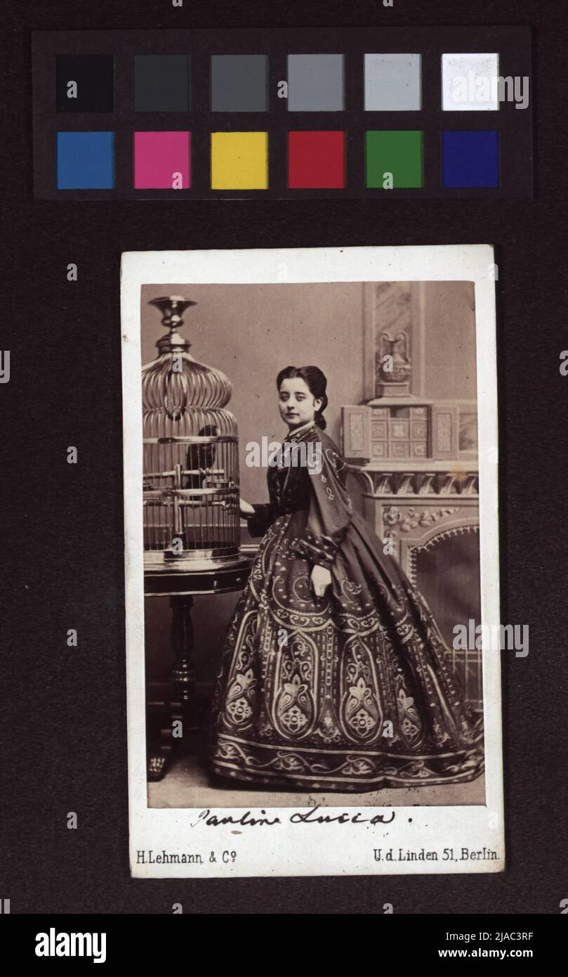 Pauline Lucca (1841-1908), opera singer. H. Lehmann & Co., Photographer ...