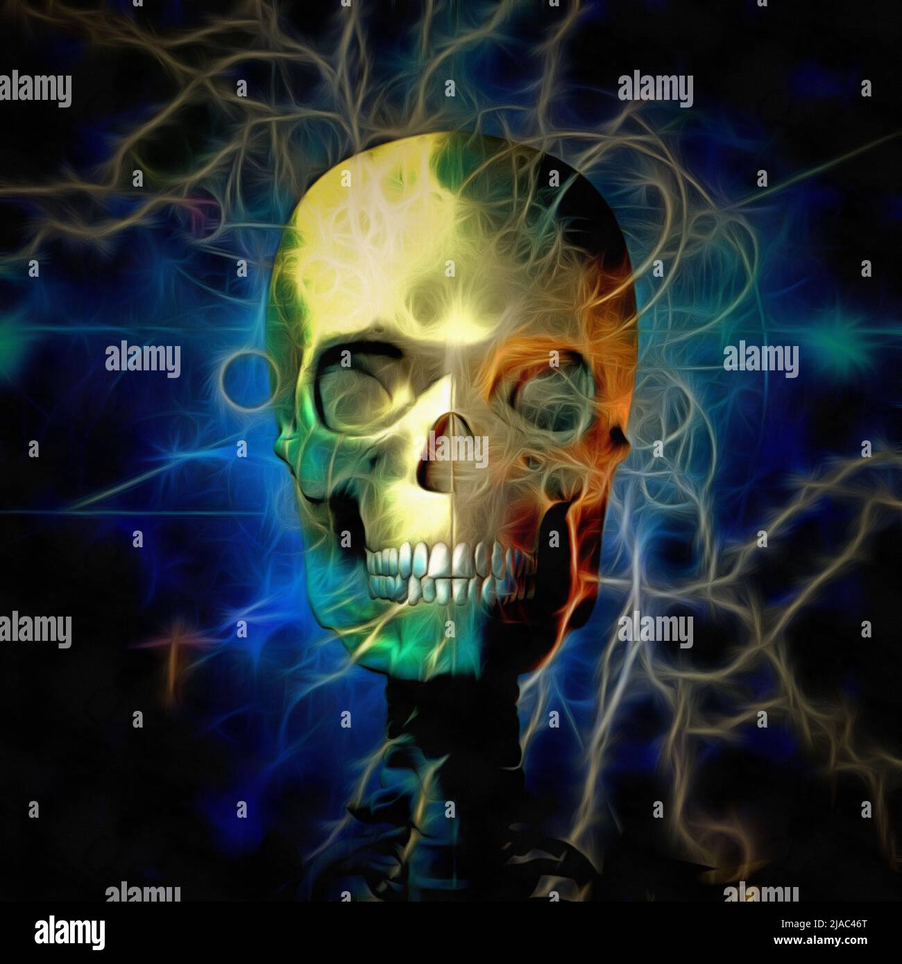 Skull art painting. 3D rendering Stock Photo - Alamy