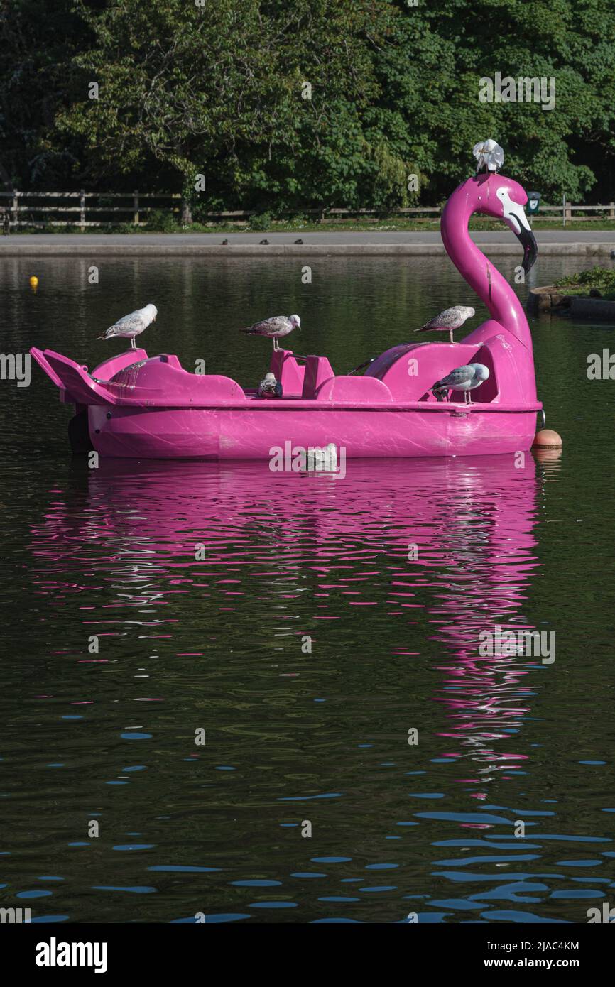 Swan shaped pedalo Stock Photo - Alamy