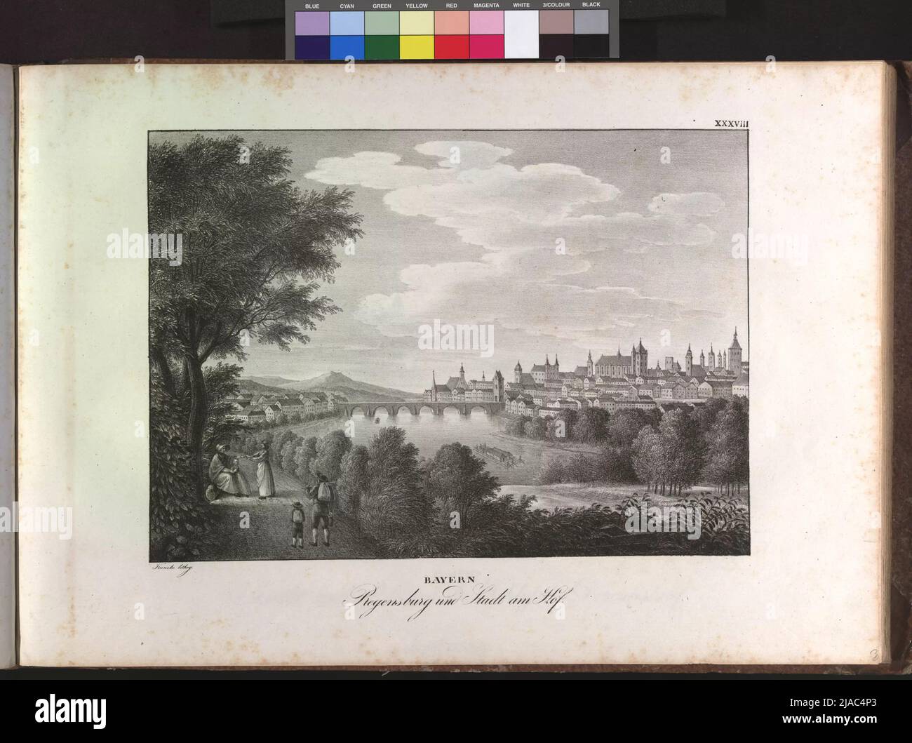 Danube views: Bavaria. Regensburg and city at the courtyard. Adolf ...