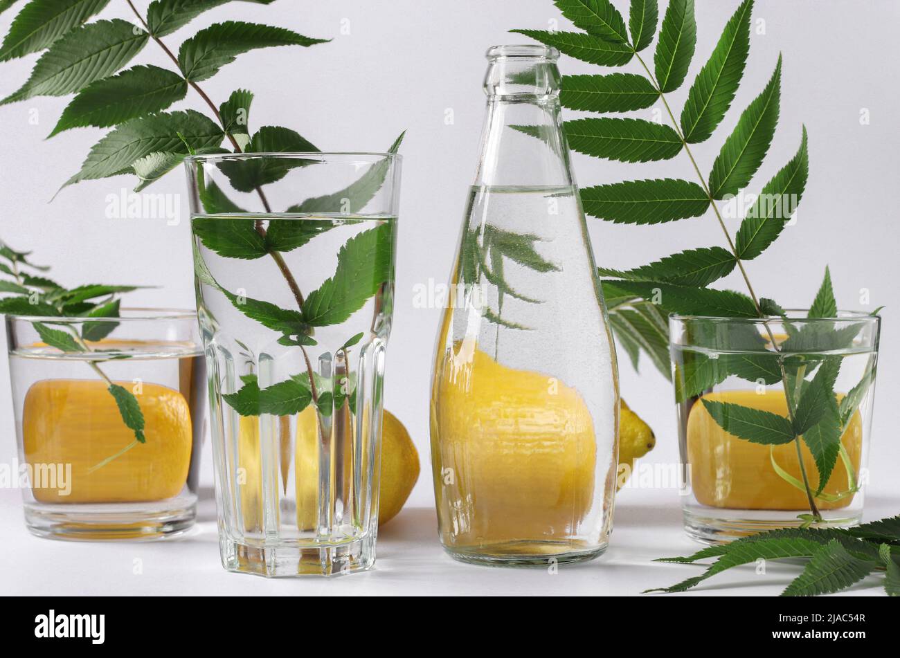 Distorted lemons and green leaves lie behind glass vessels on white ...