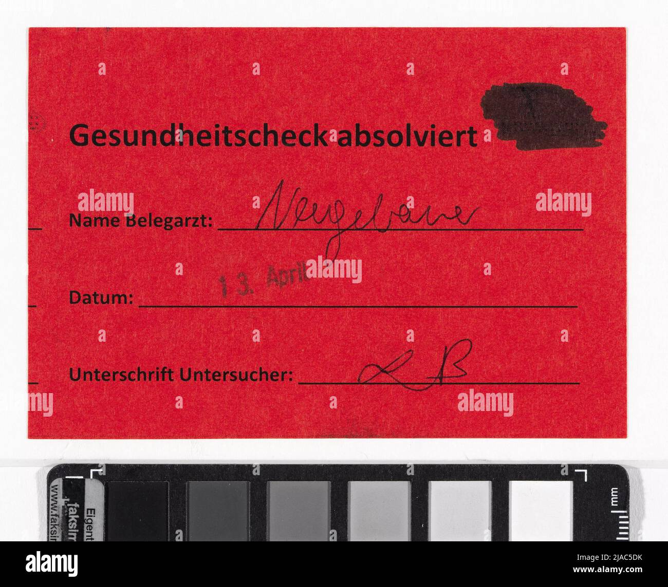 Confirmation of completing a health check, issued by a Viennese private ...
