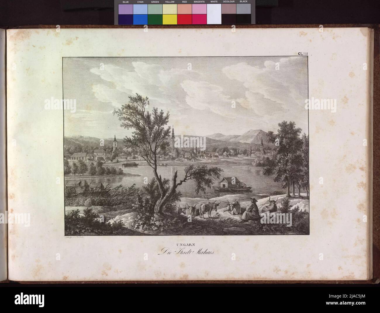 Danube views: Hungary. The city of Mahacs (Mohatsch). Adolf Friedrich ...