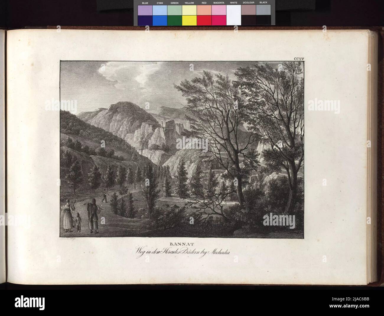 Danube views: Bannat. Way in the Herculean baths near Mehadia. Adolf ...